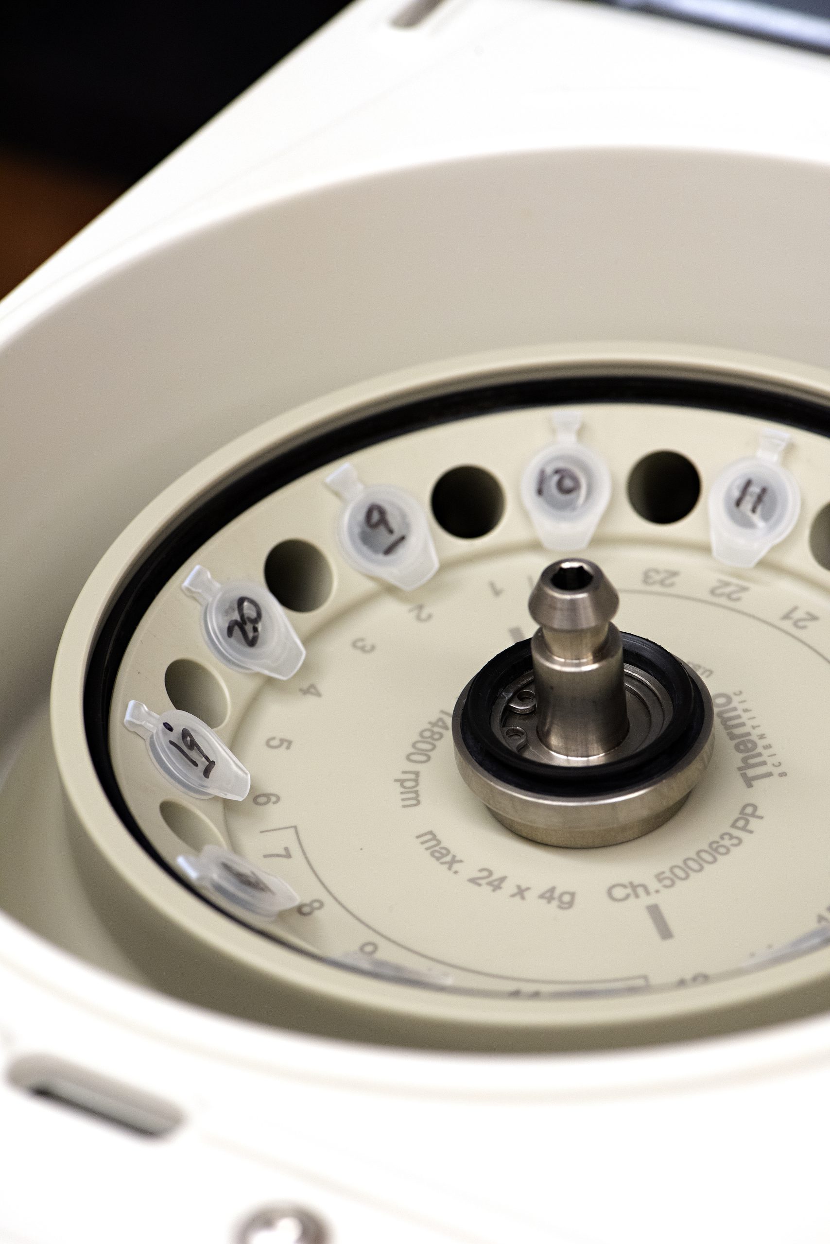 Breeding a Better Bee