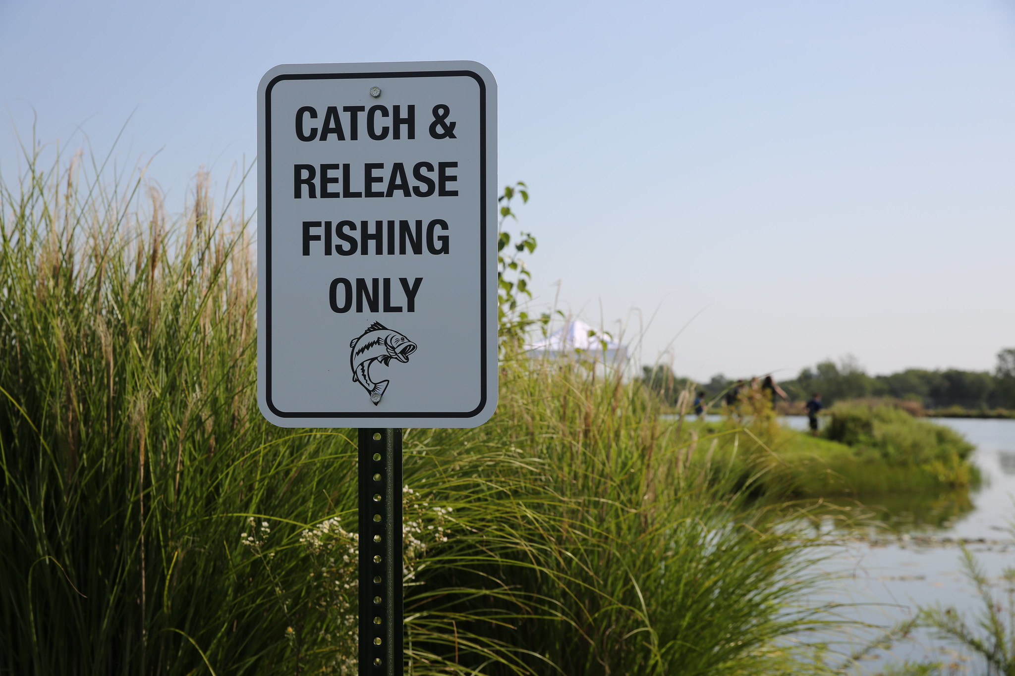 The Importance of Inland Fish