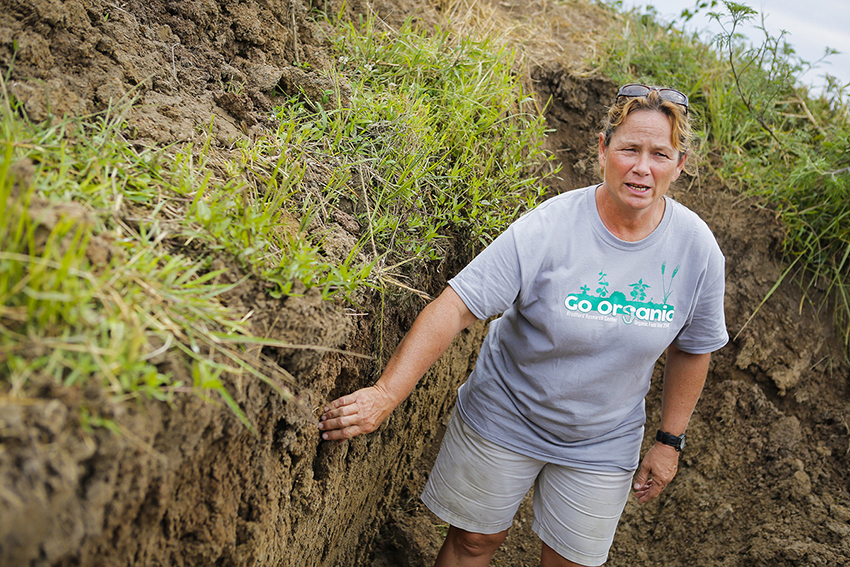 CAFNR Researchers Earn Grant Related to Organic Agriculture