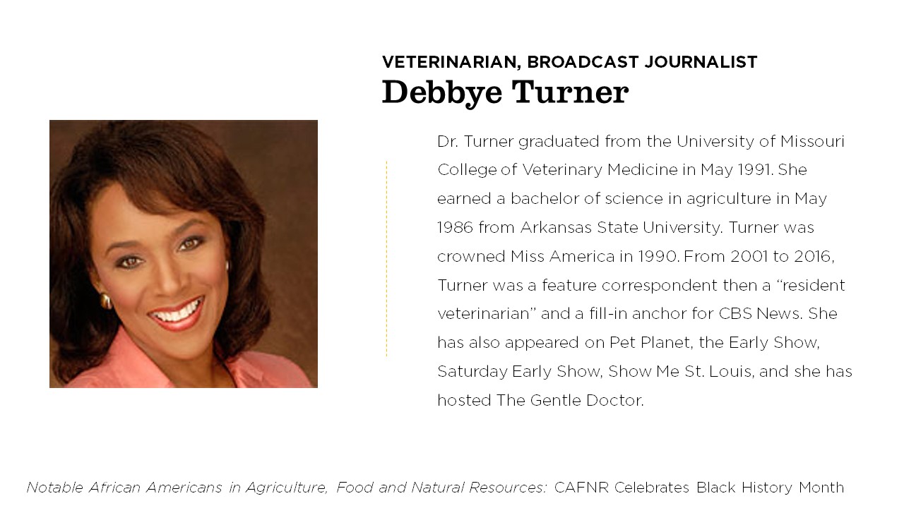 Debbye Turner