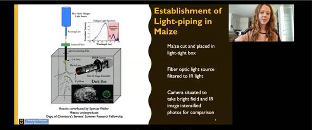 Root Biology Never Sleeps
