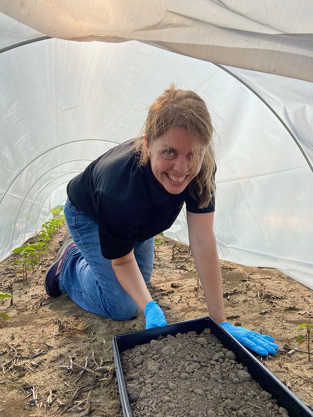 Q&A with Mandy Bish