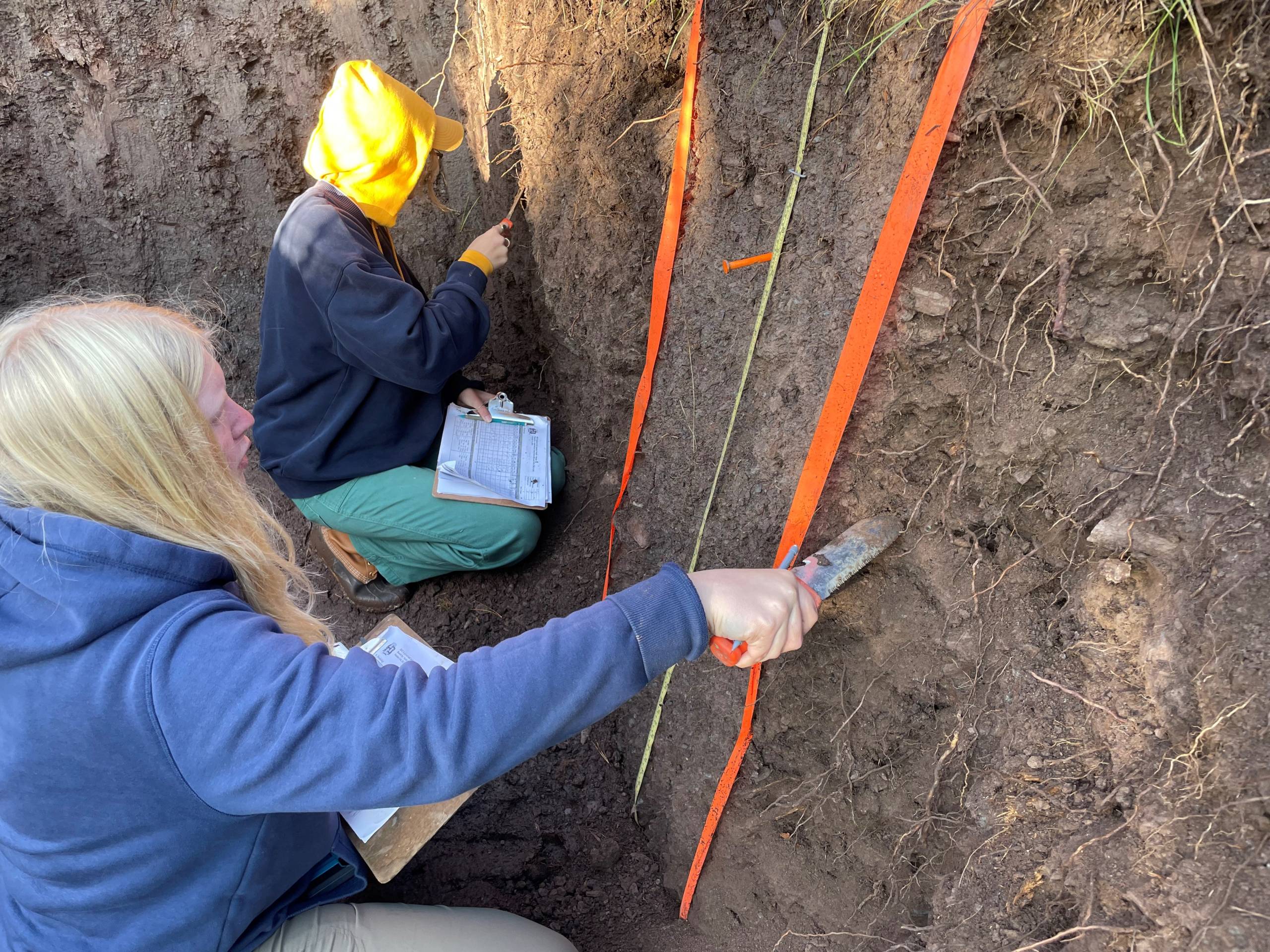 MU Collegiate Soil Judging Team places third at Soil Science Society of ...