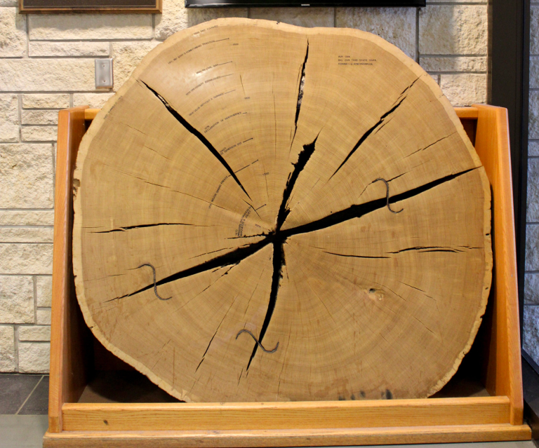 School of Natural Resources Facilities