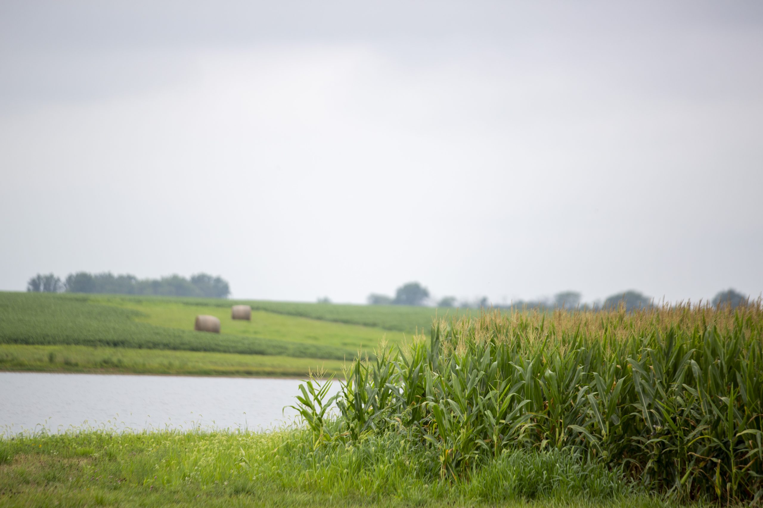 MU to expand outreach and technical assistance to Missouri land-owners ...