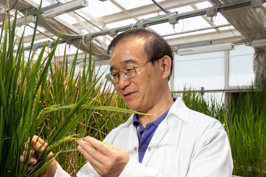 Bing Yang receives Mumford Award for Outstanding Faculty at 2025 ...